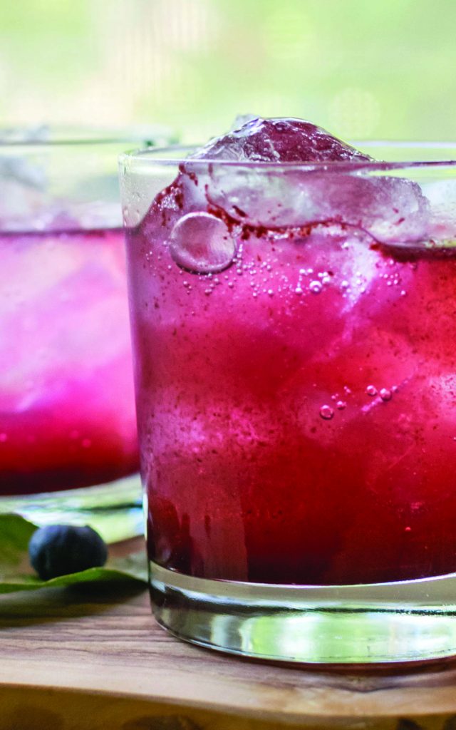 Blueberry Ginger Shrub | Recipe | LifeSource Natural Foods