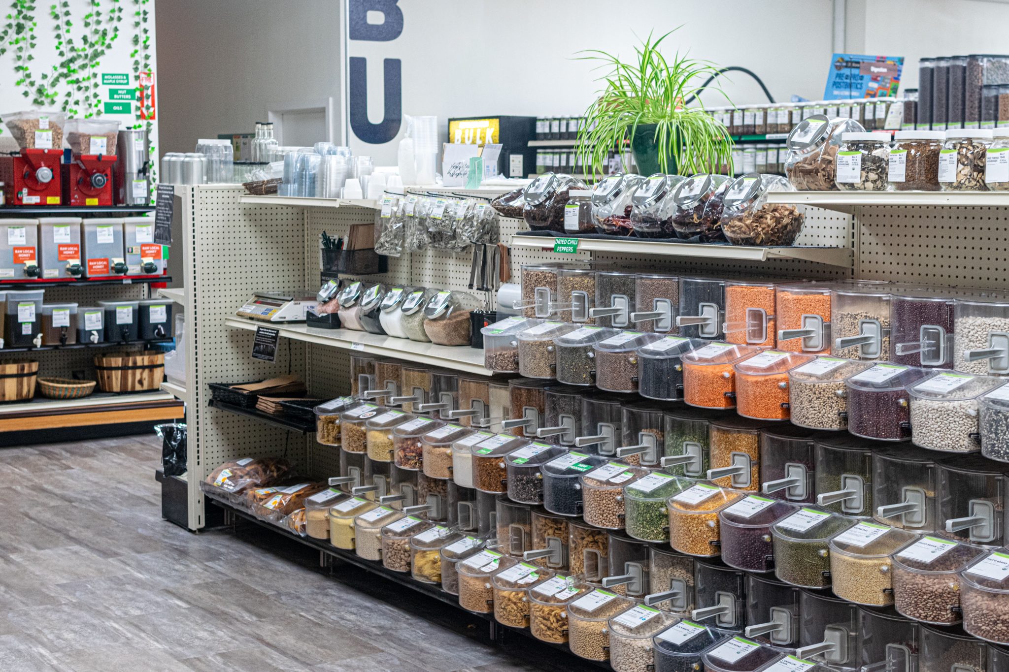 LifeSource Natural Foods - Natural Grocery Store