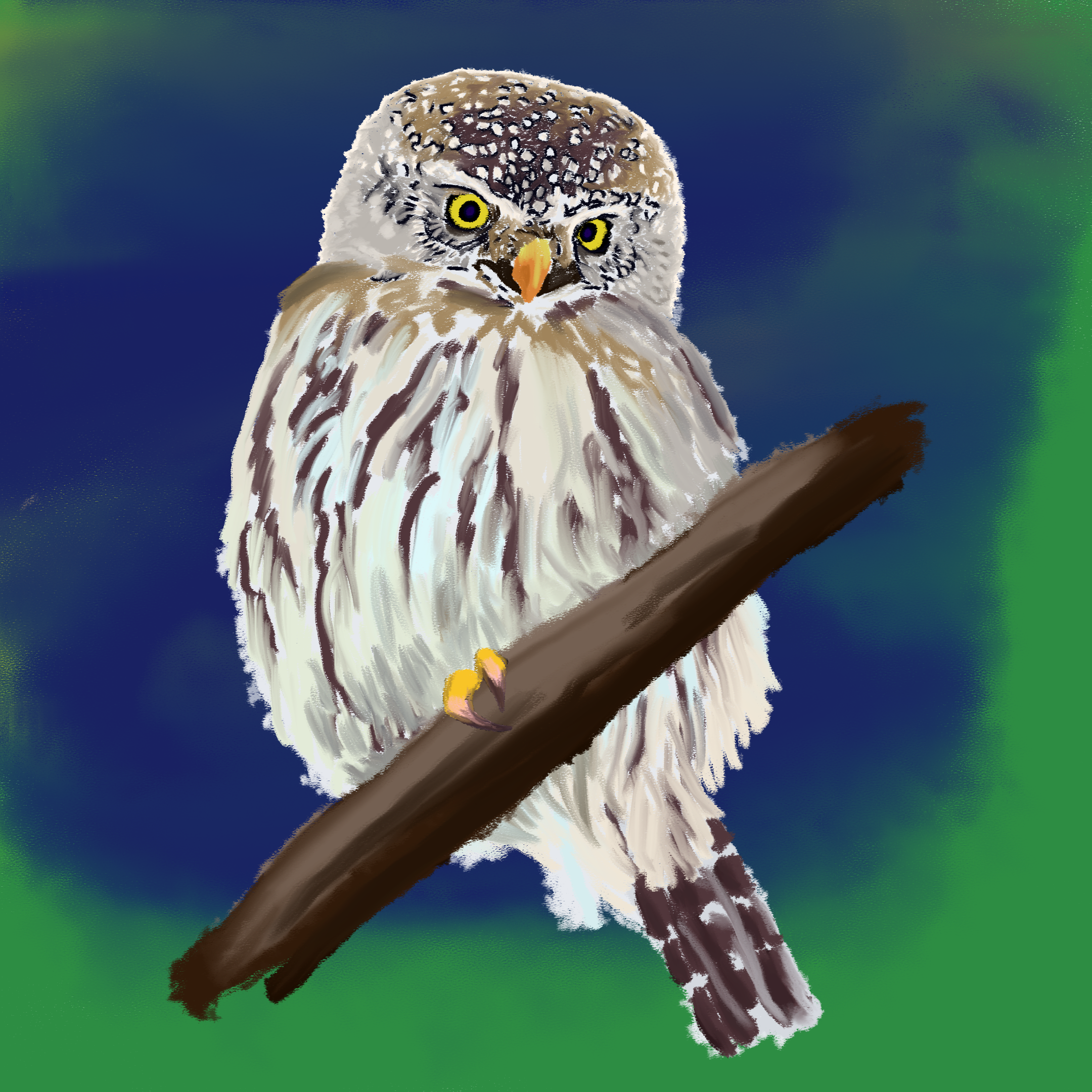 Superb Owl Game Day Recipes